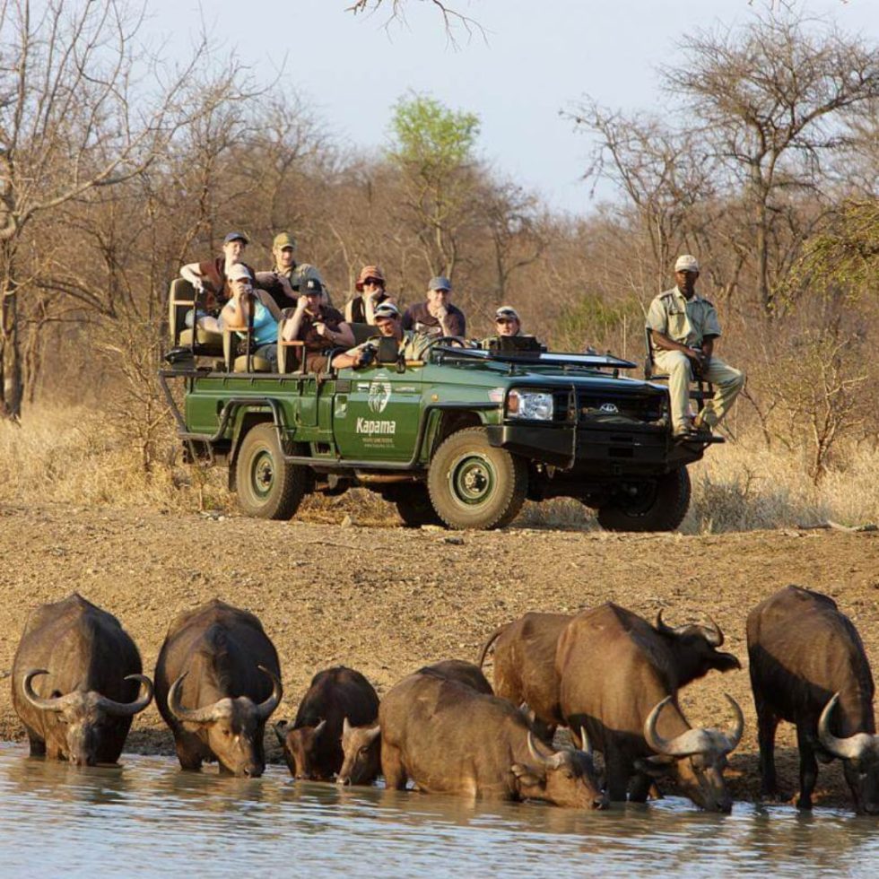 Los mejores safari de lujo para ver a los cinco grandes en Sudáfrica ...