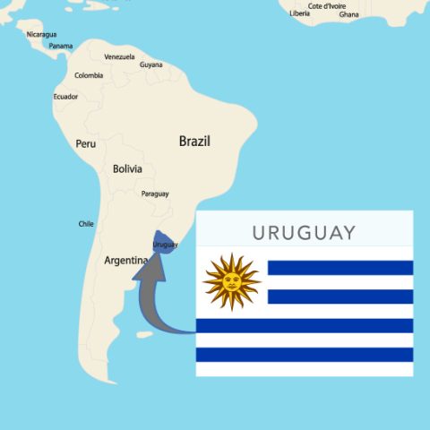 Viajes a Uruguay | Descubre Montevideo, Punta del Este y Carmelo